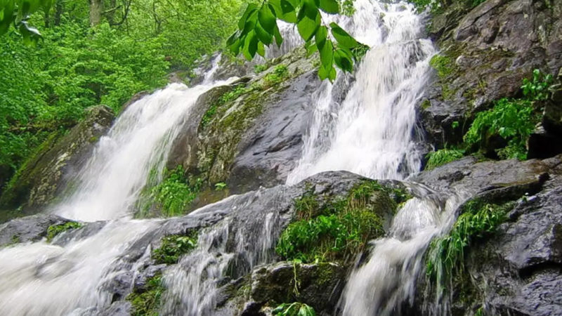 Thusharagiri-Waterfall - Kerala Tourism