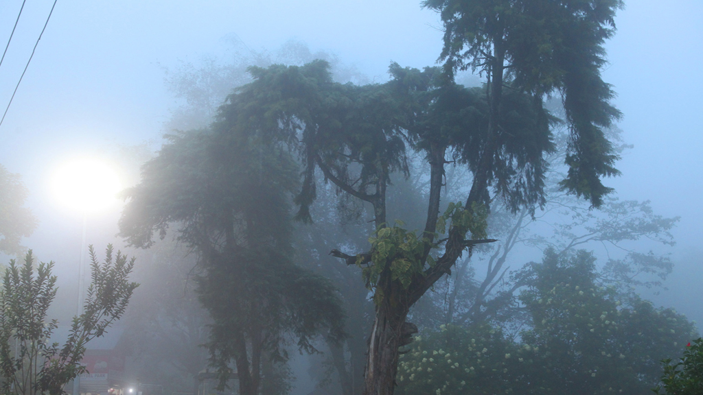 Best Best Time To Visit Munnar - Kerala Tourism