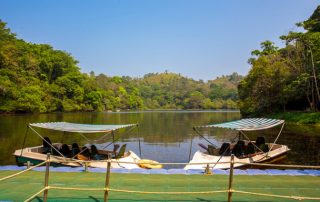 river-wayanad - Kerala Tourism