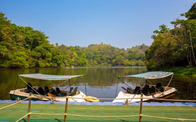 river-wayanad - Kerala Tourism