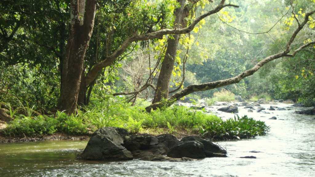 Best Best Time To Visit Wayanad - Kerala Tourism