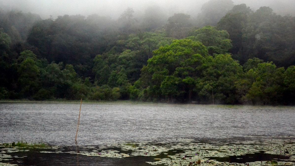 Best Best Time To Visit Wayanad - Kerala Tourism